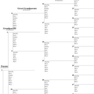 Stevenson Genealogy & Copy Center L.L.C. – Family History Is Our Passion